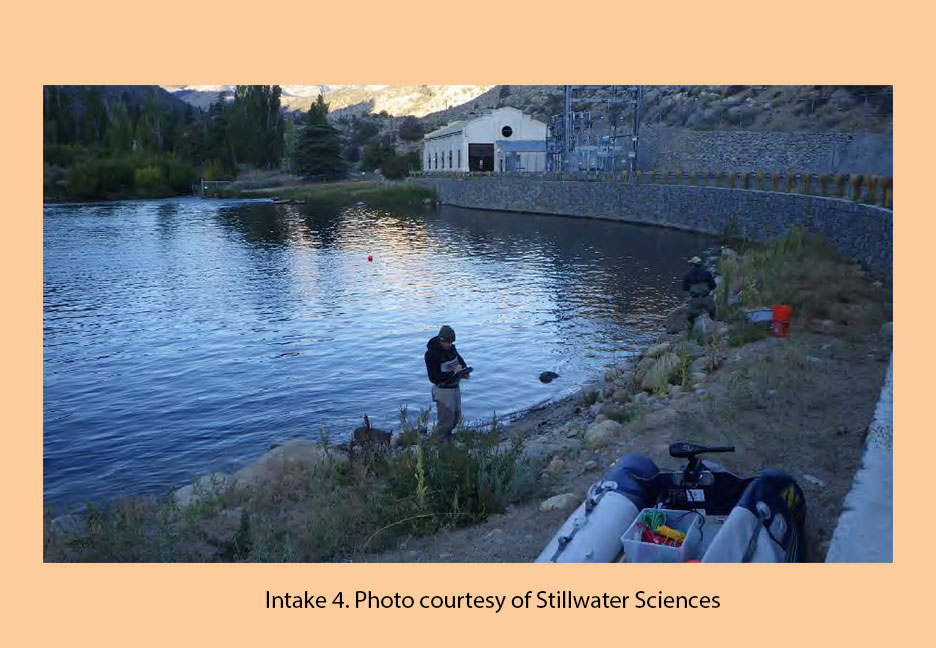 Bishop Creek – three fabulous forks to the owens