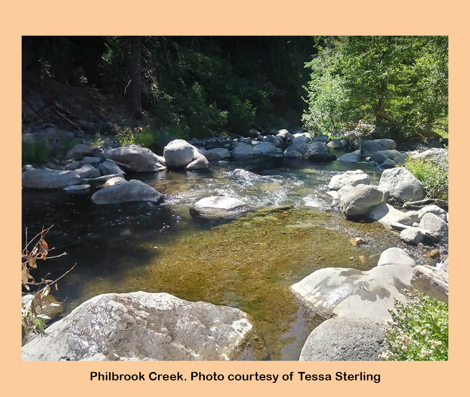 Upper Butte Creek and High Lakes – headwaters to spring-run salmon