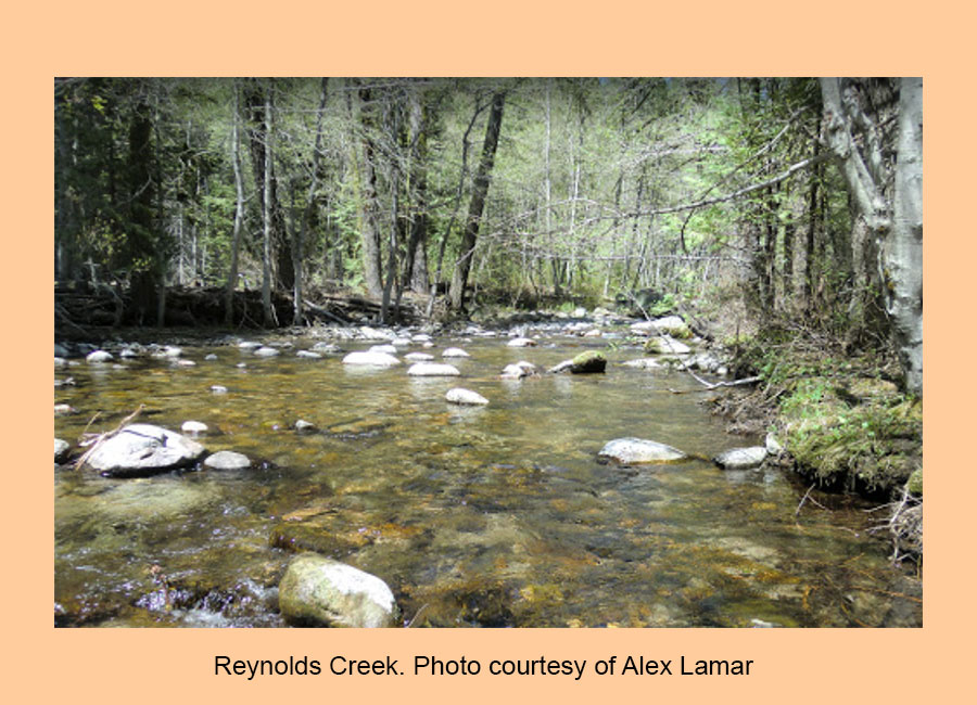 Clavey River – an original river