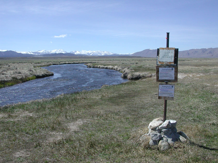 Crowley Lake – a fishing paradise