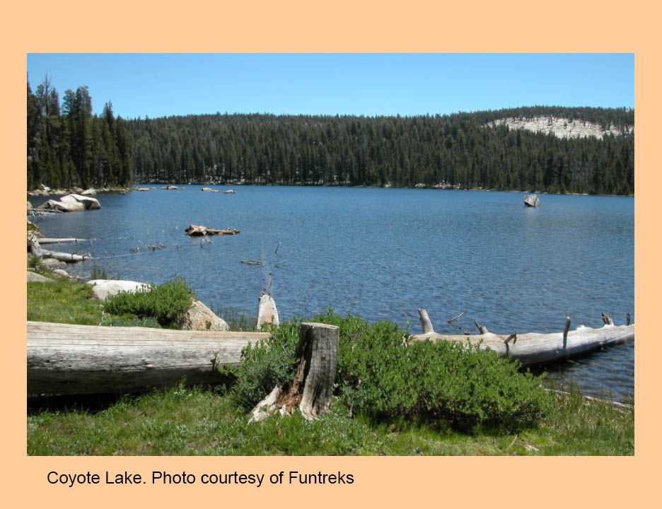 Dinkey Lakes Wilderness – trout are not large but plentiful