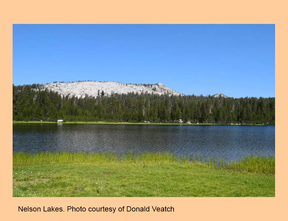 Dinkey Lakes Wilderness – trout are not large but plentiful