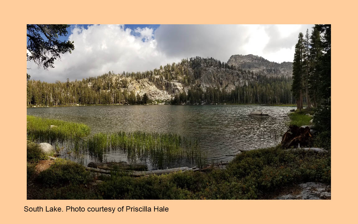 Dinkey Lakes Wilderness – trout are not large but plentiful