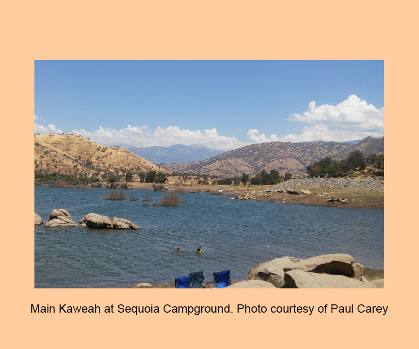 EF and SF Kaweah River – fish within the wilderness – Fly Fishing the ...