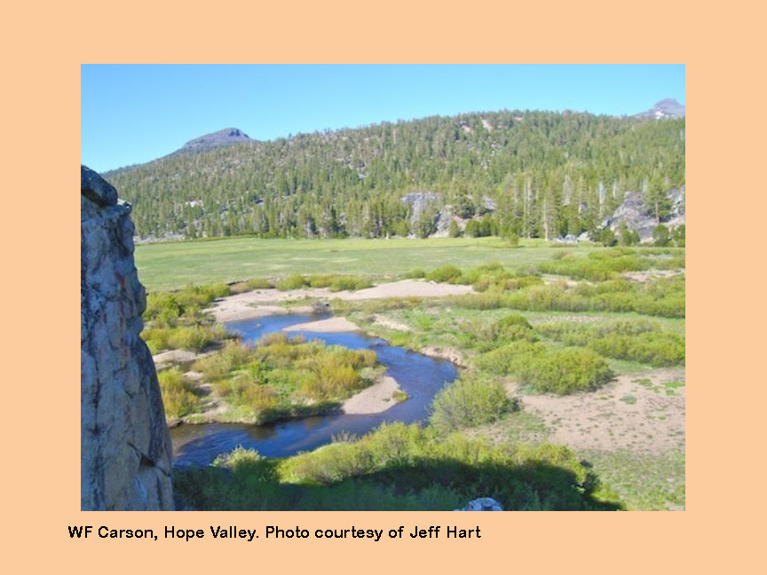 Hope Valley – stealth dry fly fishing