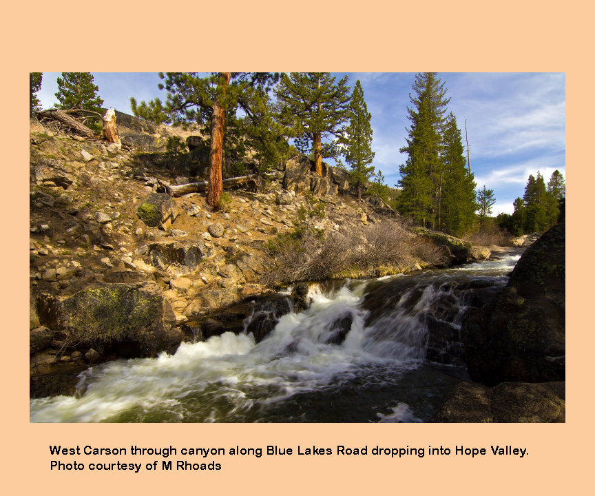 Hope Valley – stealth dry fly fishing
