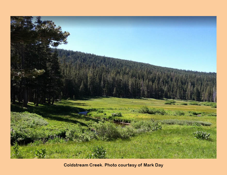 Independence Lake – one of two lakes with original lahontans