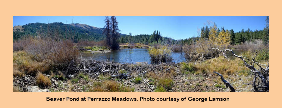 Independence Lake – one of two lakes with original lahontans