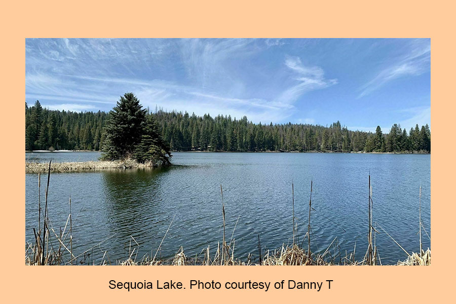 Main Kings River – a year round season - Fly Fishing the Sierra