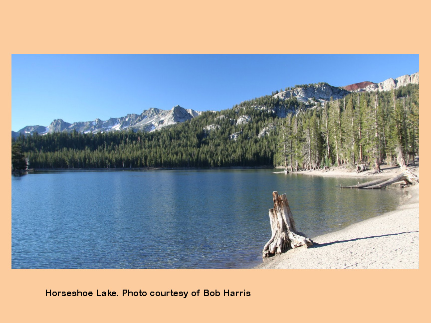 Mammoth Lakes – plenty of fish to be happy