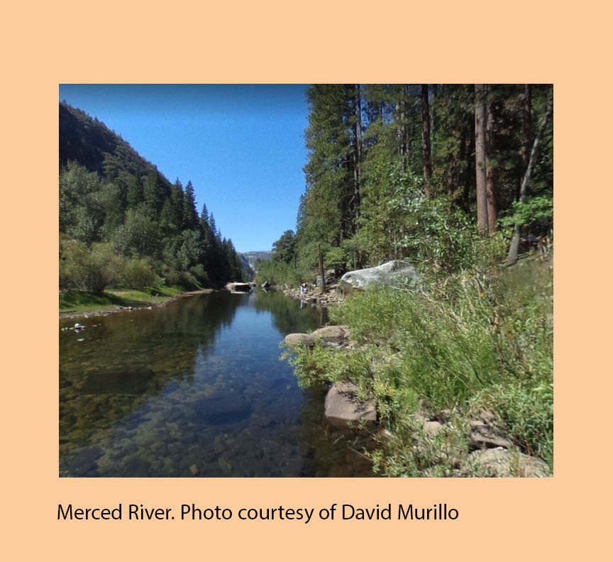 Upper Merced River – home to trout and bass