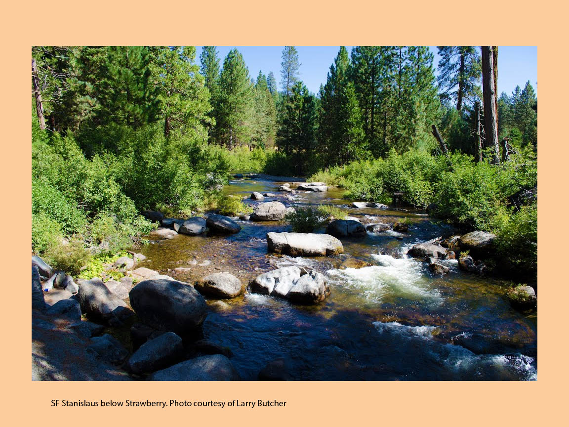 Beardsley Reservoir – providing rich nutrients down river