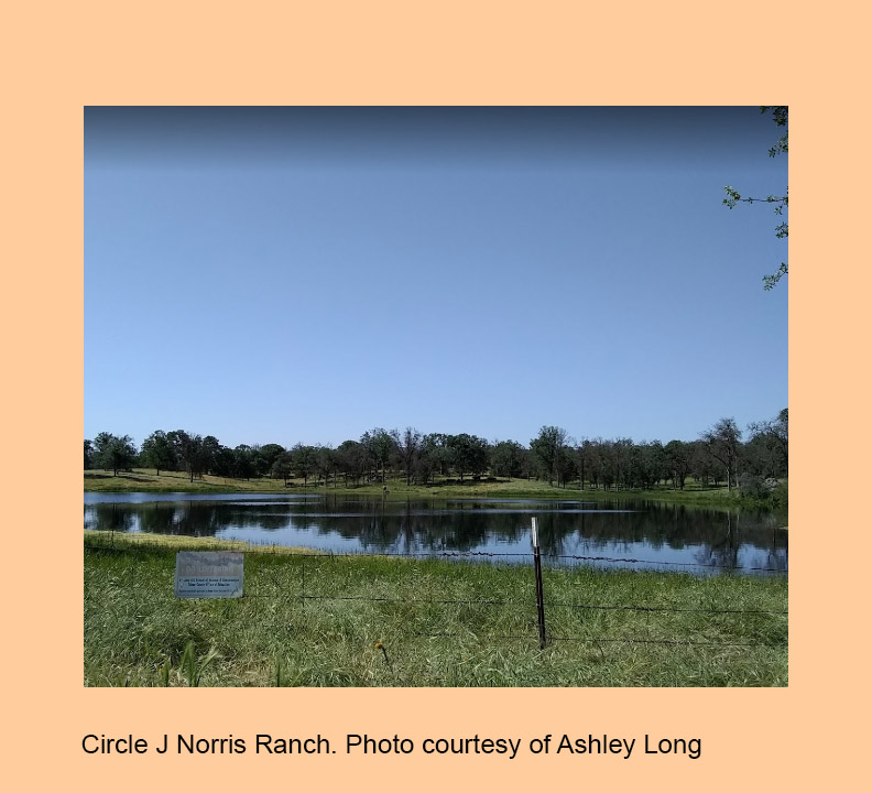 NF Tule and NF of MF Tule River – fish the upper reaches