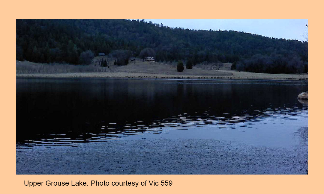 NF Tule and NF of MF Tule River – fish the upper reaches