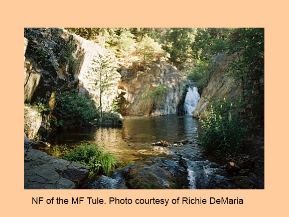NF Tule and NF of MF Tule River – fish the upper reaches
