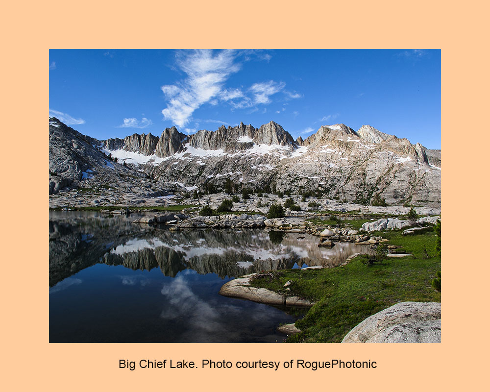 Piute Canyon – a place for golden hybrids