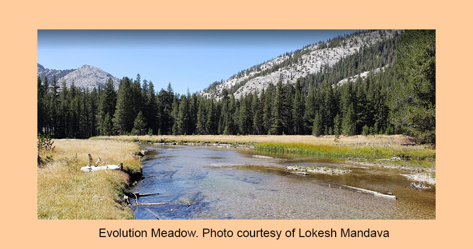 Piute Canyon – a place for golden hybrids