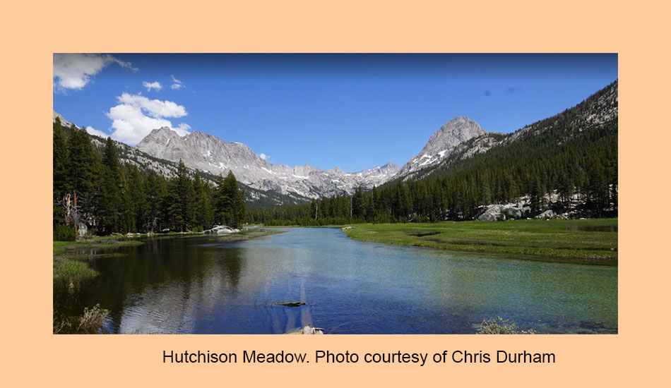 Piute Canyon – a place for golden hybrids