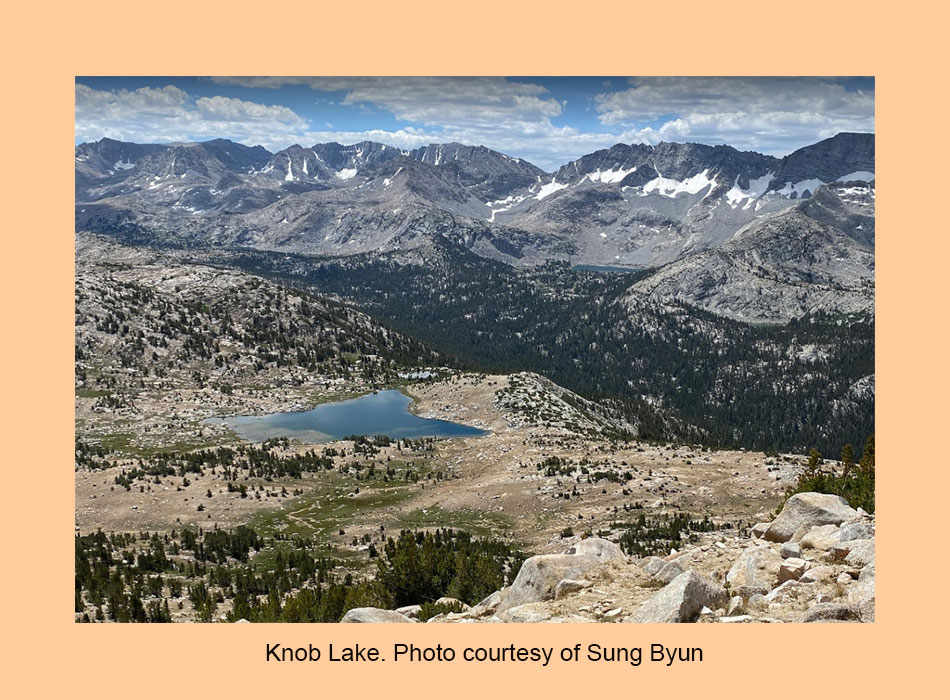 Piute Canyon – a place for golden hybrids