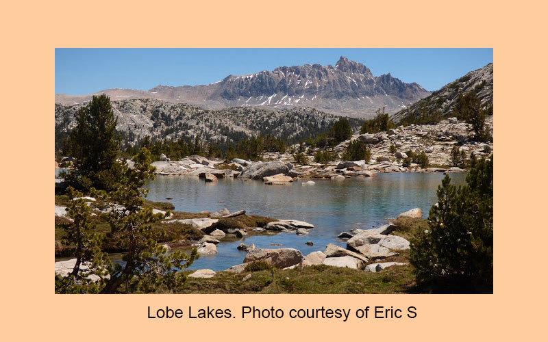 Piute Canyon – a place for golden hybrids