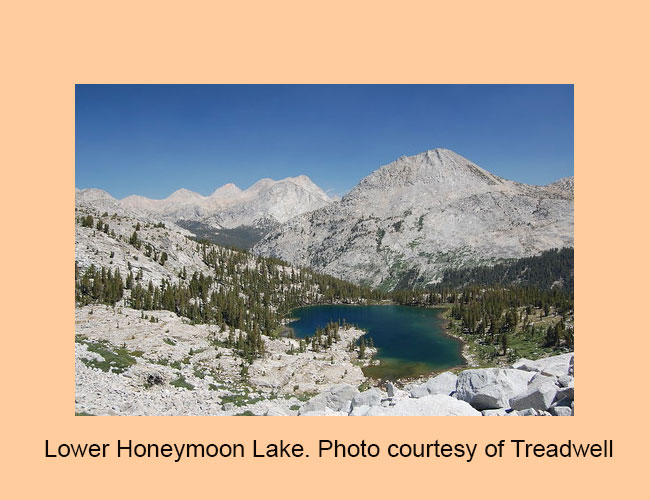 Piute Canyon – a place for golden hybrids