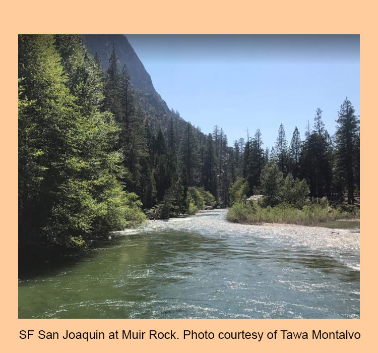 Piute Canyon – a place for golden hybrids