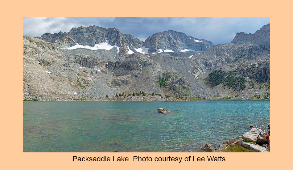 Piute Canyon – a place for golden hybrids