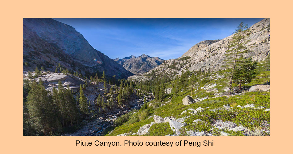Piute Canyon – a place for golden hybrids
