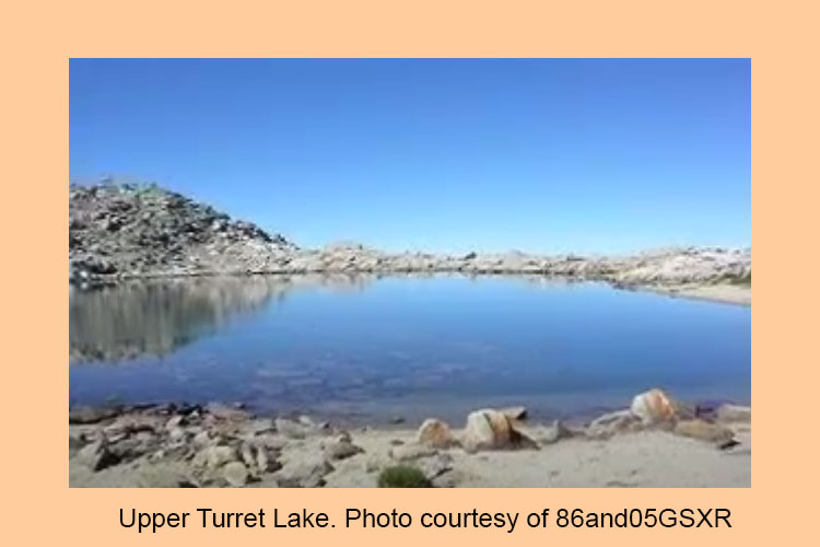 Piute Canyon – a place for golden hybrids