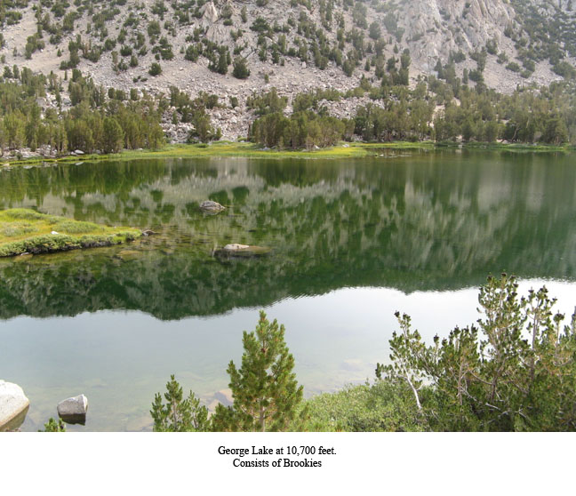 Sabrina Lake Backcountry – exclusive lake access