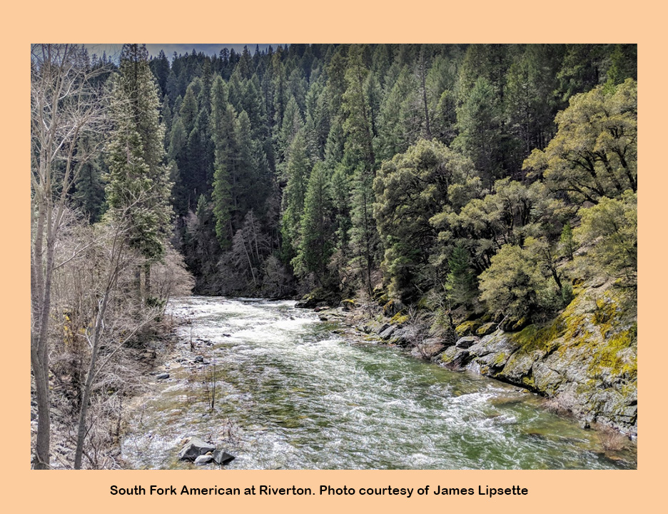 South Fork American River – a delightful stream with wondrous trout
