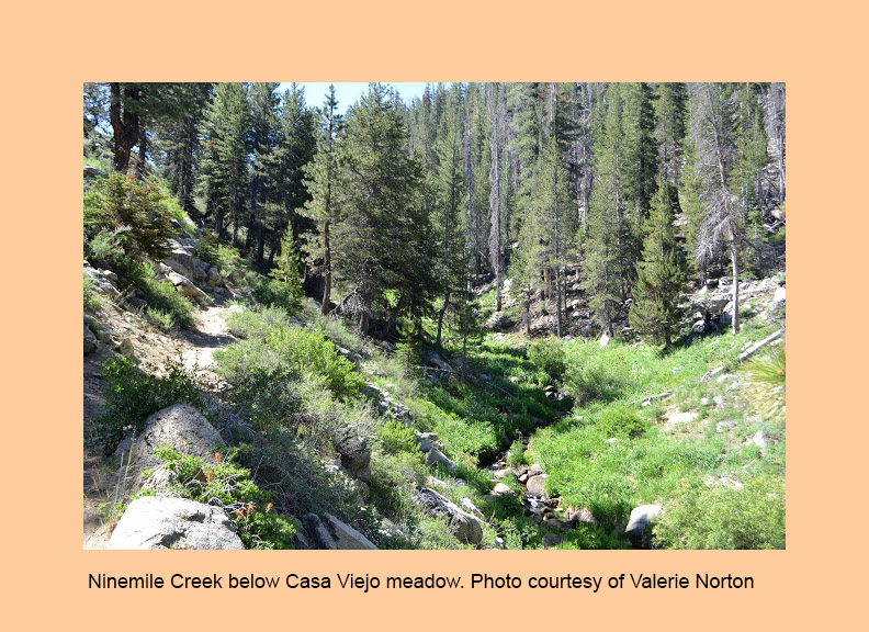 SF Kern and Monache Meadows – ancestral home of the Golden