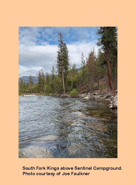 MF and SF Kings River – one of the best fisheries