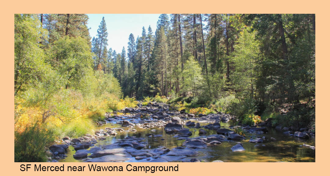 South Fork Merced River – fish away from campgrounds