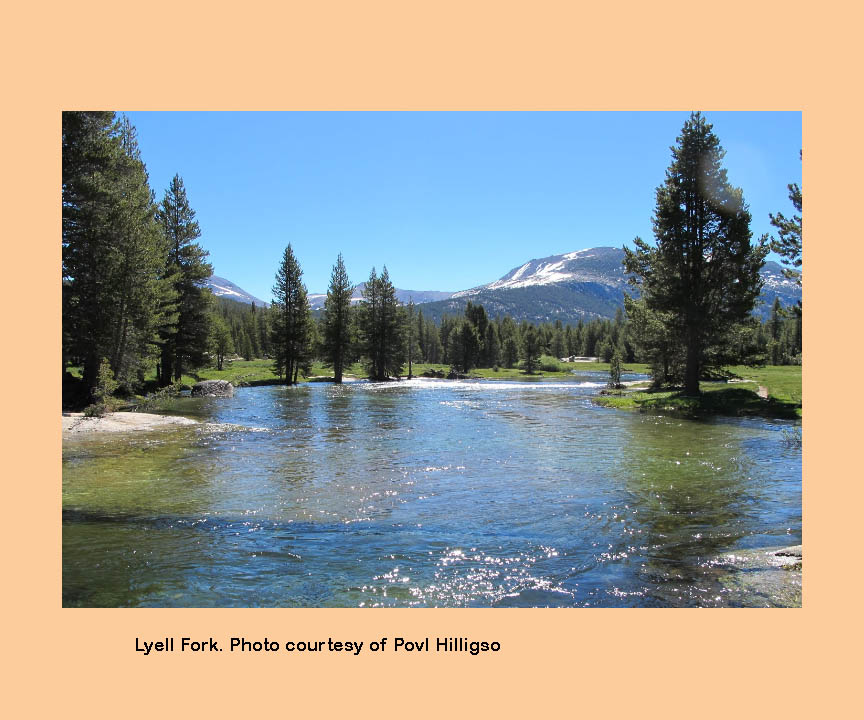 Dana and Lyell Fork – along the john muir trail