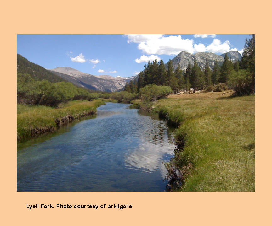 Dana and Lyell Fork – along the john muir trail