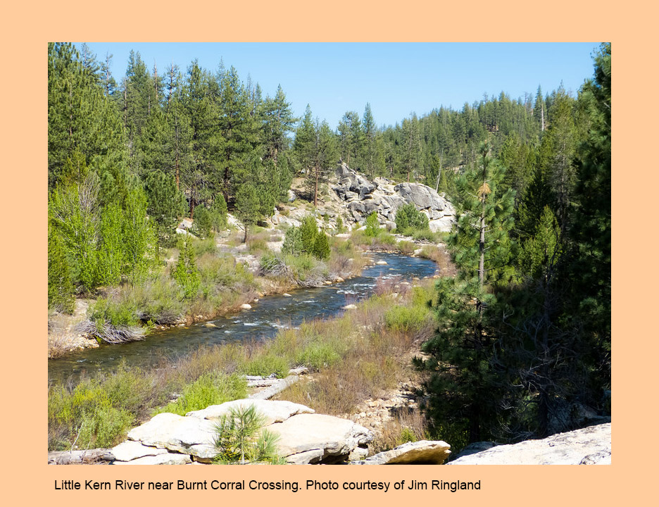 Upper Kern and Little Kern River – home to golden cousins