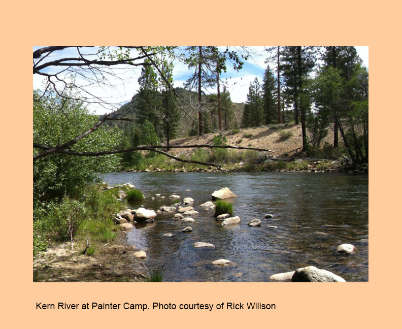 Upper Kern and Little Kern River – home to golden cousins