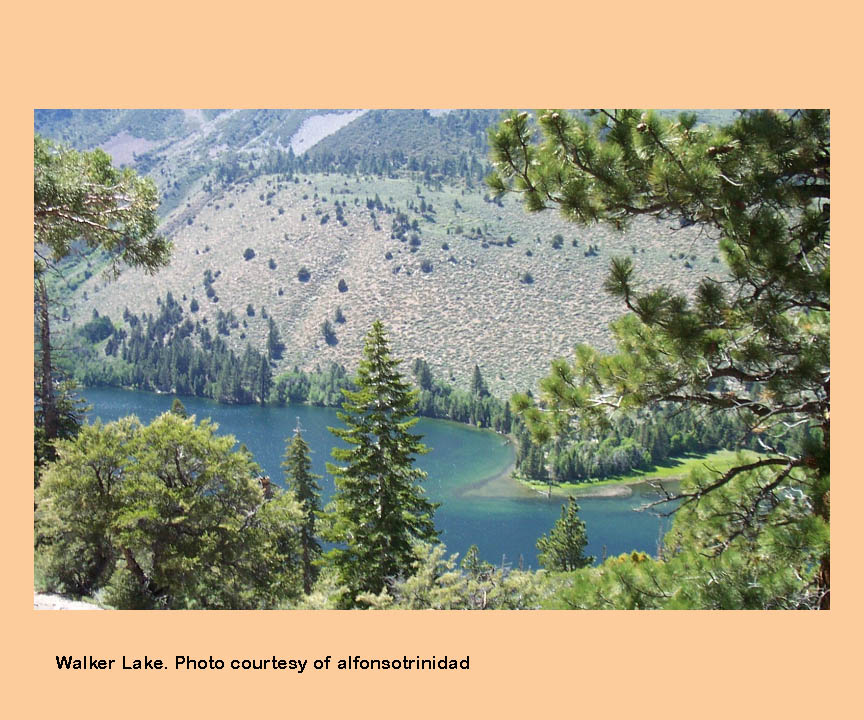 Walker Lake – along one of the oldest trails in sierra – Fly Fishing ...