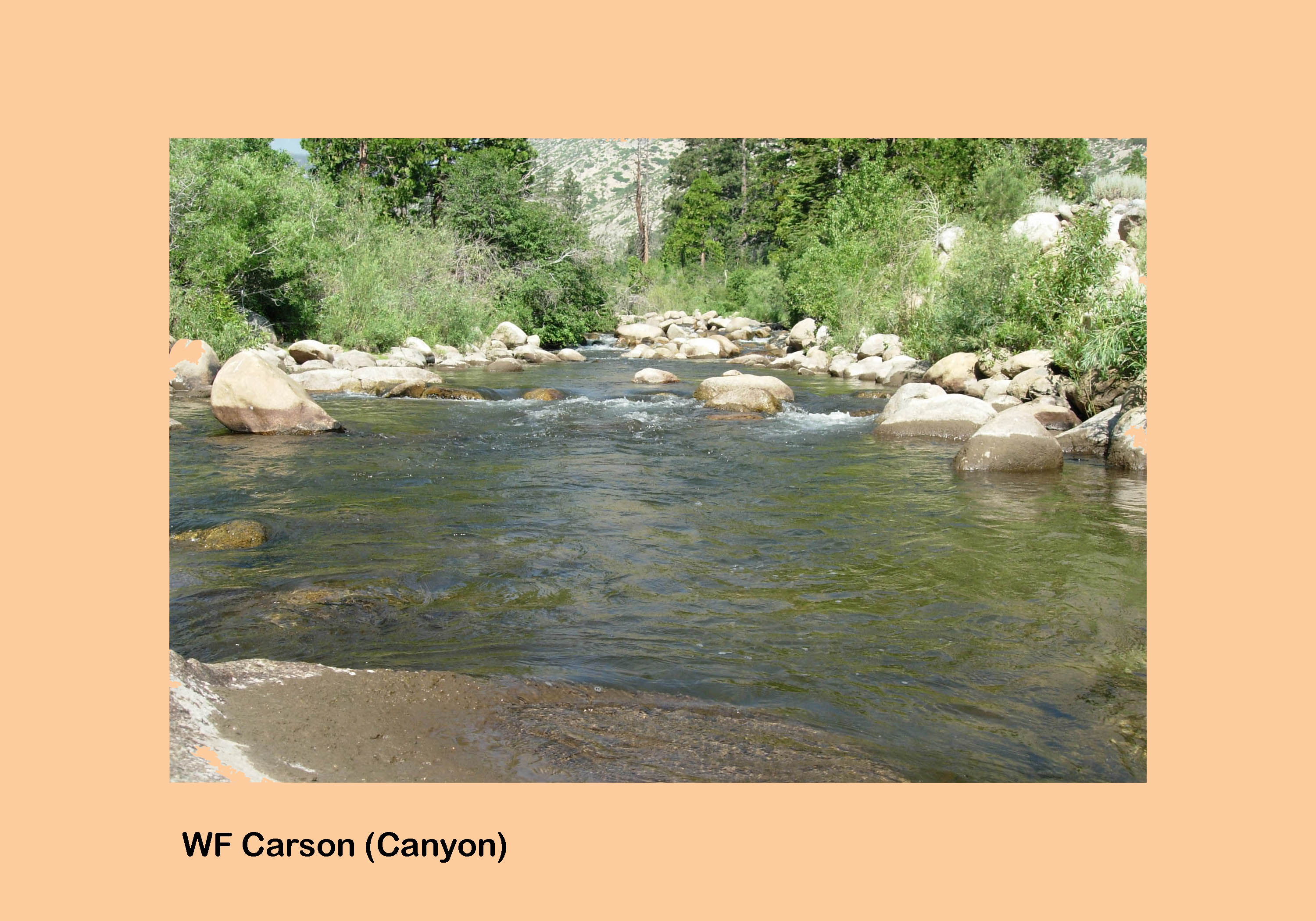 West Carson Canyon – a late morning opportunity to fish