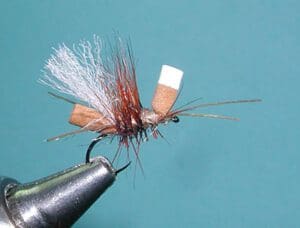 Bionic Ant – improved sailor with a wing