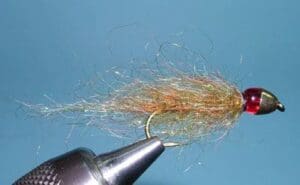 Mohair Leech – a miracle mix of colors