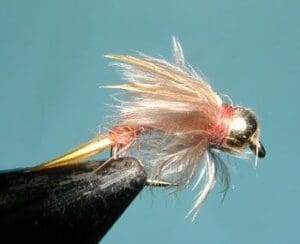 Prince Nymph – one of the best in royalty