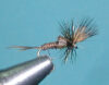 Quigley Cripple – a mayfly stuck in a shuck