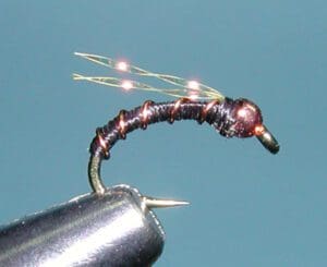 Zebra Midge – the magic of a midge that never fails