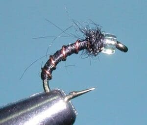 Zebra Midge – the magic of a midge that never fails