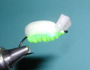 Popcorn Beetle – as light as a popcorn